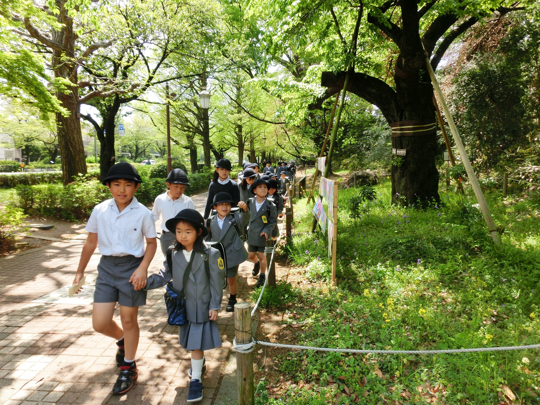 Cimg6735 桐朋学園小学校